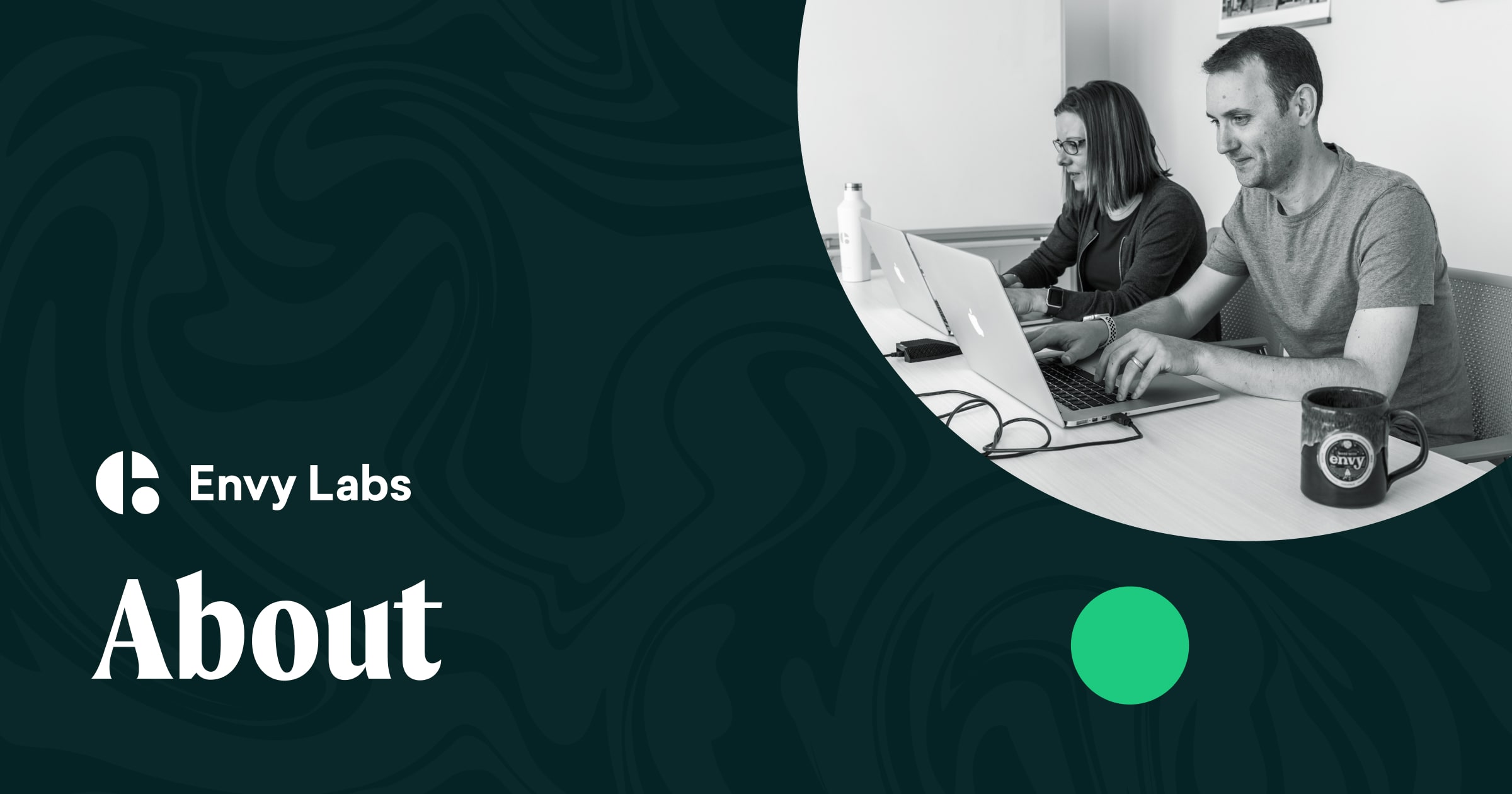 Envy Labs | About